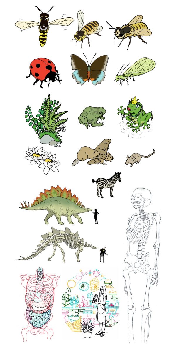 Biologie - Comicbuero